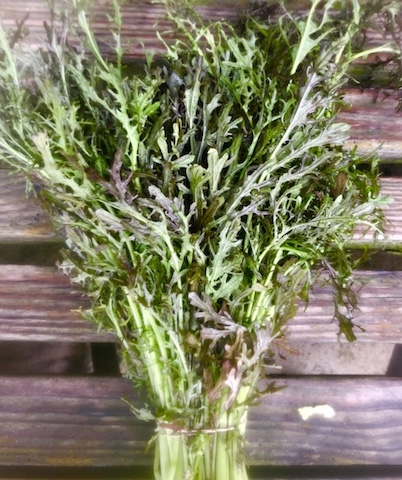 Ruby Streaks Mustard Greens - Transplanting Traditions Community Farm